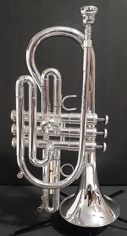 Getzen Eterna PRO 800S Silver Cornet,2 M/P's and Getzen Wood | Reverb