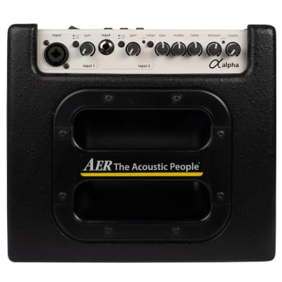 AER Alpha 40W Acoustic Guitar Combo Amp | Reverb