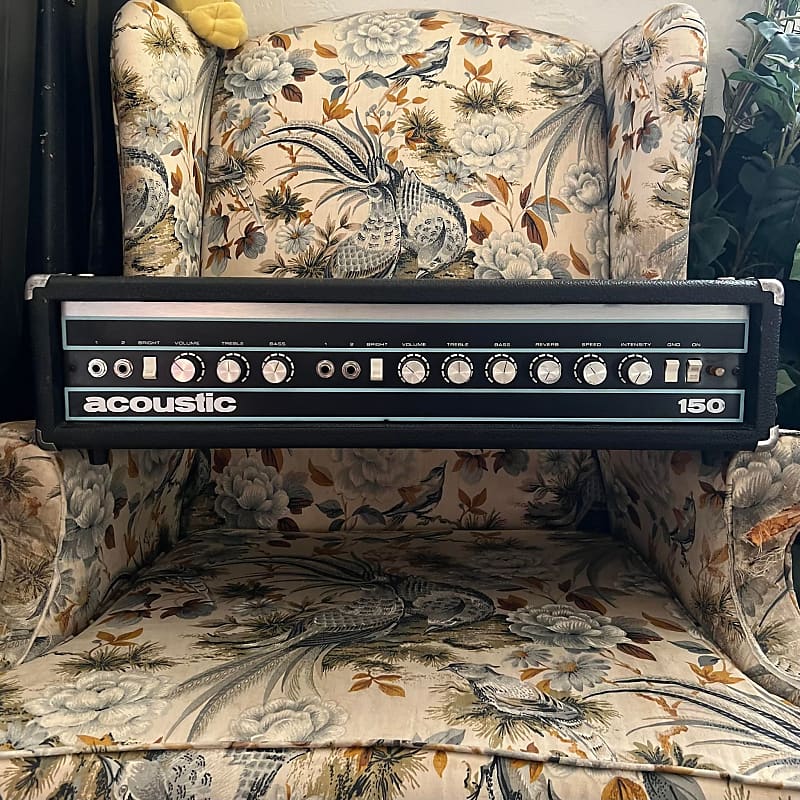 Acoustic 150 Guitar/Bass Amp | Reverb