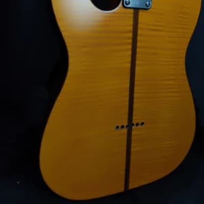 Firefly FFTL (BCTY) 2023 * ELECTRIC GUITAR MADCAT TRANSPARENT | Reverb