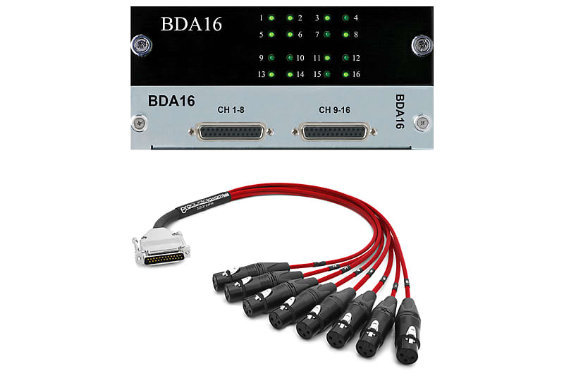 Burl Audio BDA16 | 16-Channel DAC Daughter Card for B16 | Reverb