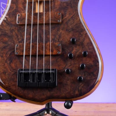 F Bass BN5 Burled Walnut | Reverb