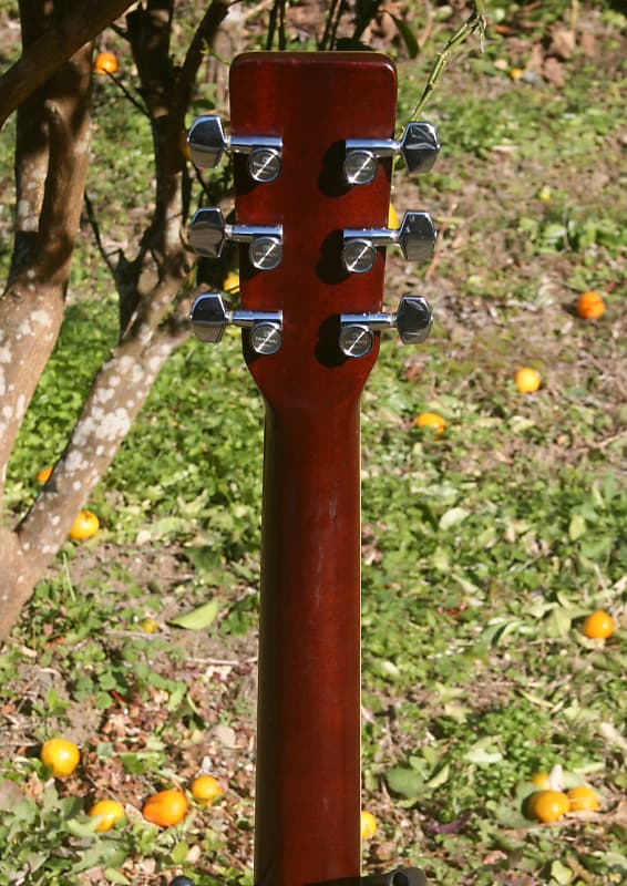 Yamaki 150 Solid Top and Solid Back D35 Japan Vintage Guitar | Reverb