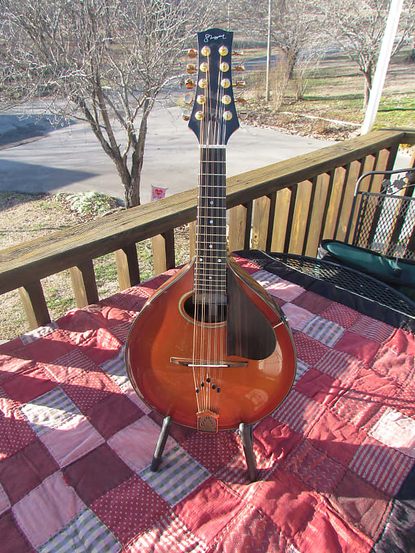 Paul Shippey 10 String Mandolin, MINT! | Reverb