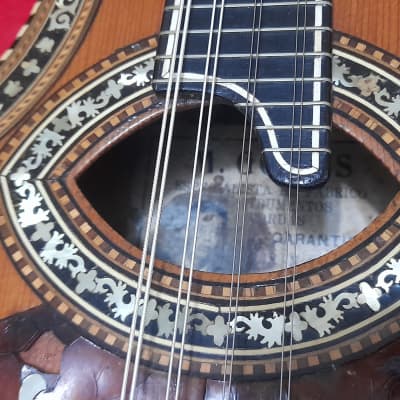 bandolin mandolin G Gomes | Reverb
