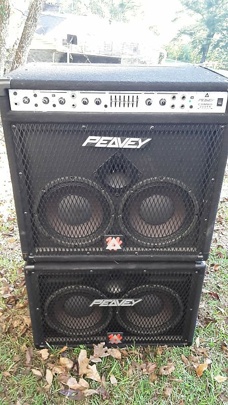 Peavey 210 TX 300-Watt 2x10 Bass Speaker Cabinet | Reverb