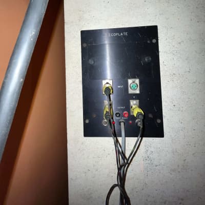 Jim Cunningham Ecoplate I Original 80's | Reverb