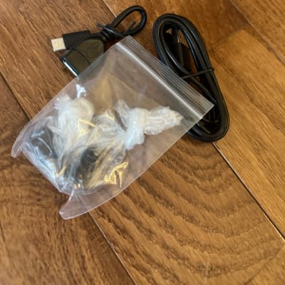 2024 Hotone Pulze - Black Eclipse | Reverb