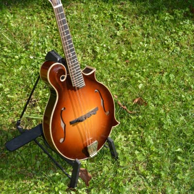 Bulas F5 mandolin 2022 - sunburst / pickup | Reverb