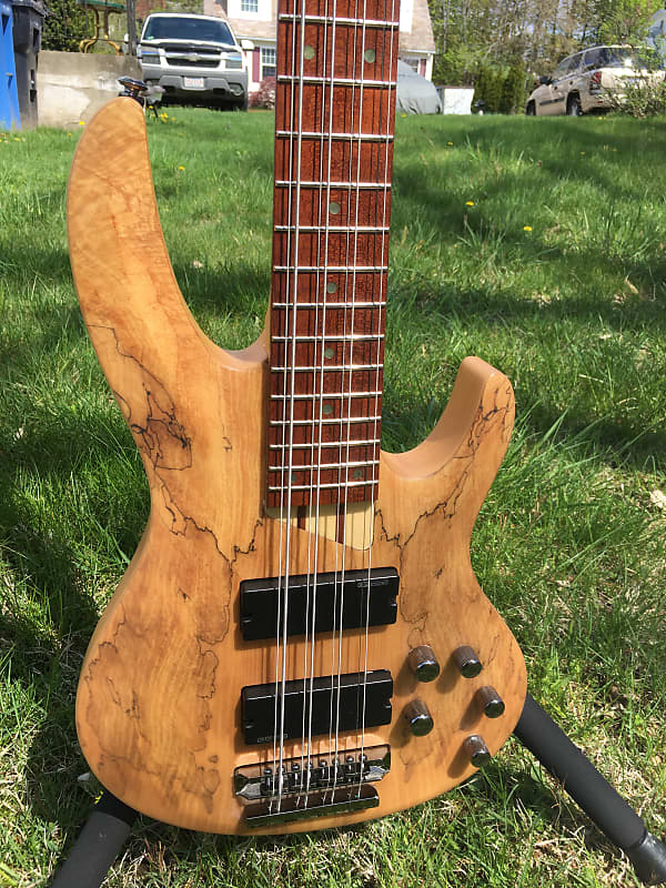 ESP LTD 8 String Electric Bass 2022 - Spalted Maple | Reverb