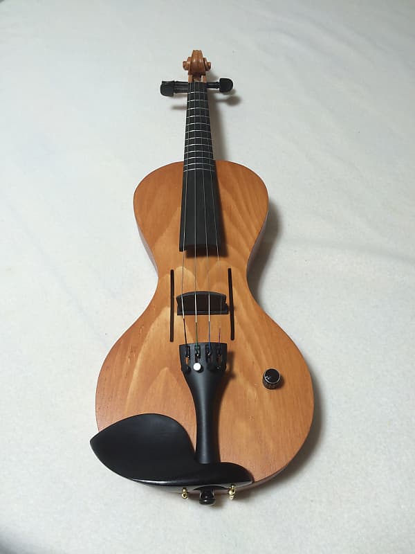Violin. Hand made fretted, semi acoustic / electric | Reverb