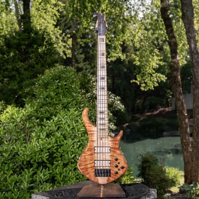 Warrior Dran Michael Hawaiian Koa Anniversary 5 String bass | Reverb