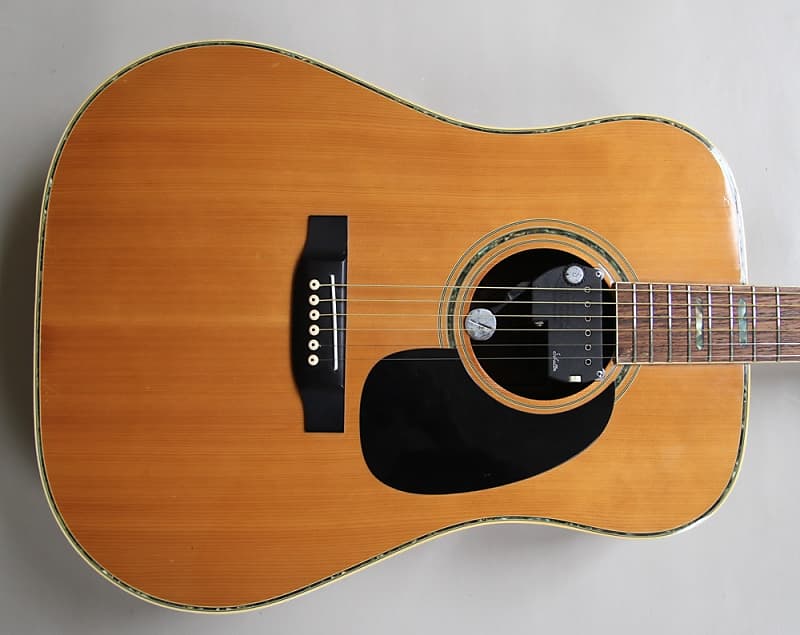 1970's MIJ J.Watson W300 with 70's Schaller PU system | Reverb UK