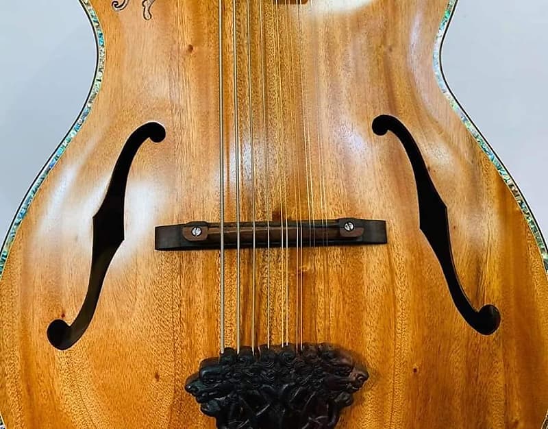 Blueberry Handmade Mandolin Grand Twelve String Built to | Reverb