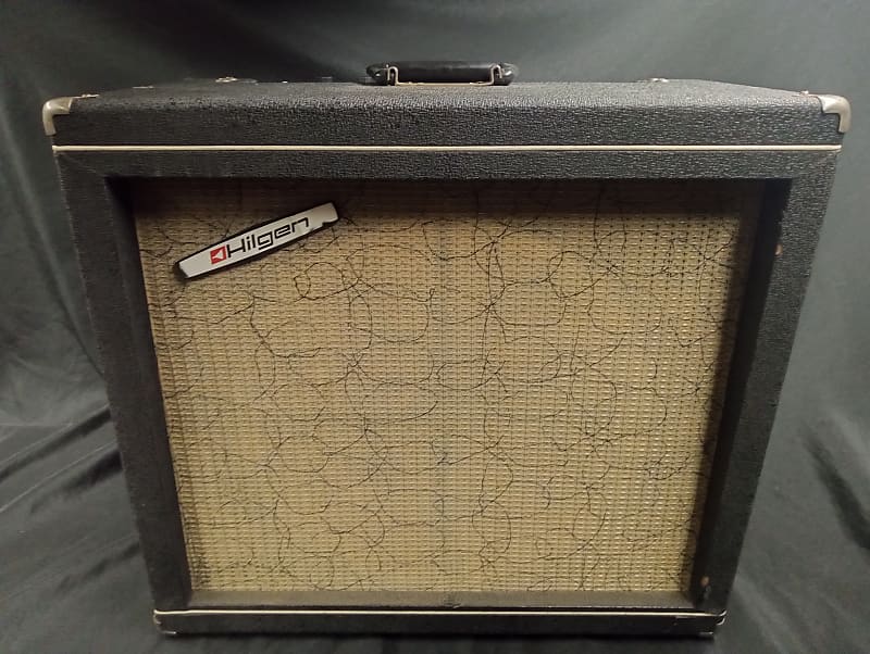 Hilgen Basso B2501 1x15" Combo Bass or Guitar Amplifer 7591 | Reverb