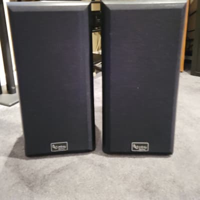 INFINITY STERLING SS 2005 BLACK GRAIN | Reverb