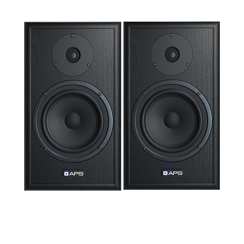 APS Klasik 2020 | Reverb