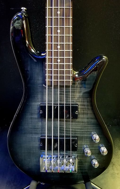 Spector Legend 5 Standard Black Stain w/FREE Pro Setup | Reverb