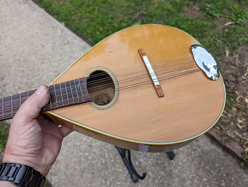 Tres Pinos Mandolin mid 90's | Reverb