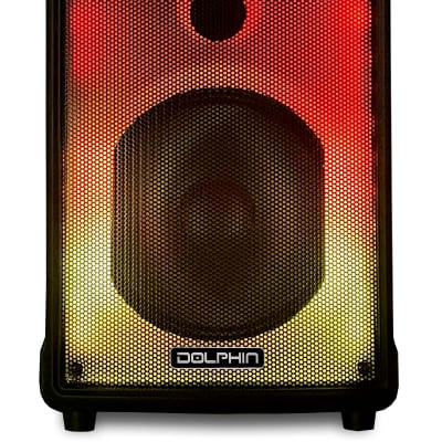 Dolphin KP-80 Premium Loud DEEP Sound, Lite-Weight, Karaoke | Reverb