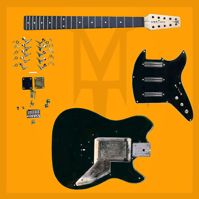 Complete Electric 10 String Mandocello / Cittern Build Kit | Reverb