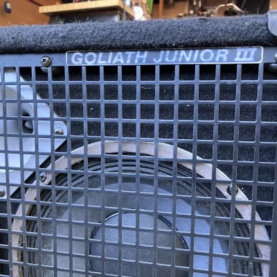 SWR Goliath Junior III 2x10 Bass Cabinet | Reverb