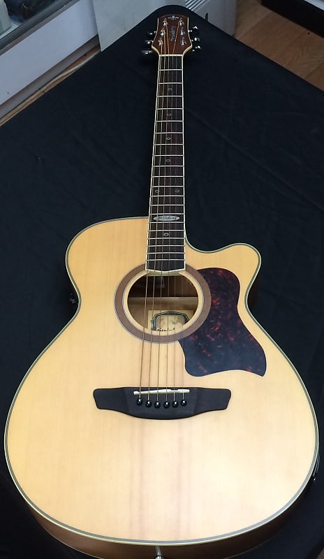 Strinberg SA-20C (Natural) Pro Guitar Bundle Artist Series | Reverb