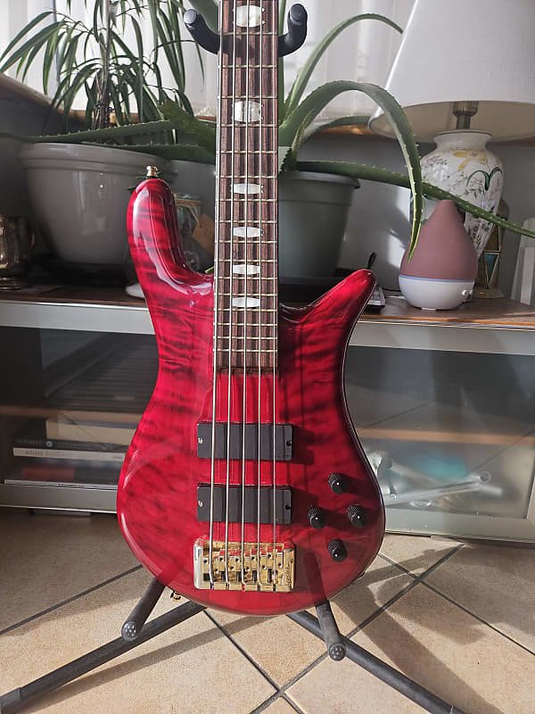 Spector Euro lx tw 2013 - Black cherry | Reverb