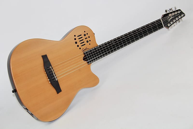 Unique guitar synth: A10 Natural (10 String Guitar) | Reverb Finland