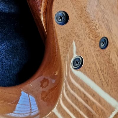 SJ Custom Guitars 7 string 2024 - High Gloss | Reverb