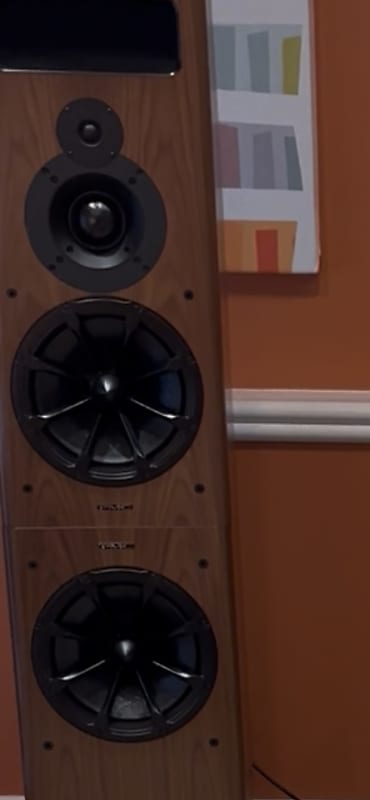 PMC monitor PMC MB2i XBD 2017 - walnut | Reverb