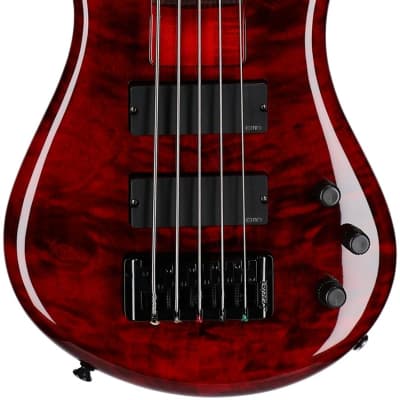 Spector Bantam 5 | Reverb