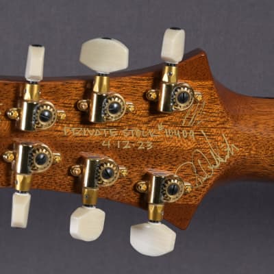 Fender PS#10409 Special 22 Semi Hollow "Birds of a Feather" | Reverb