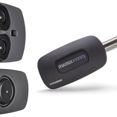 Fishman Matrix Infinity Mic Blend with Narrow/Split Format | Reverb