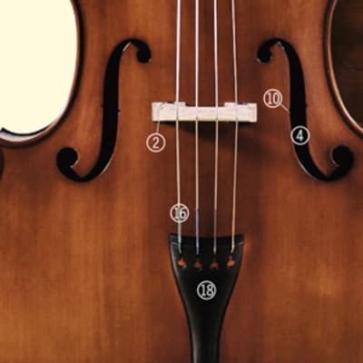 Double Bass Fingerboard Chart and Cheat Sheet (folded, 6 | Reverb