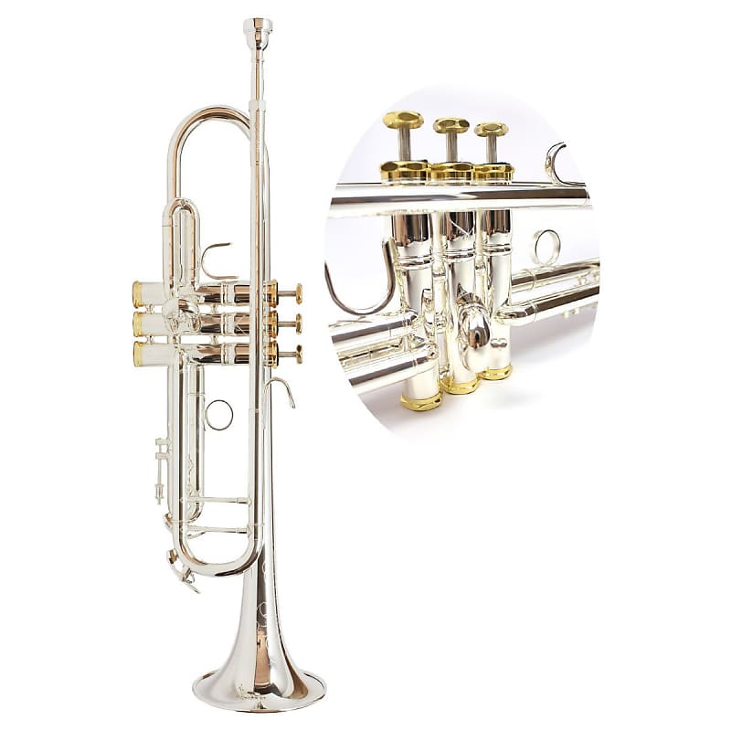 VALKYRIE 502SG Bb TRUMPET GOLD BRASS, SILVER PLATED ENGRAVED | Reverb