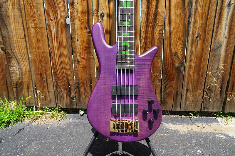 Spector Skyler Acord Signature | Reverb