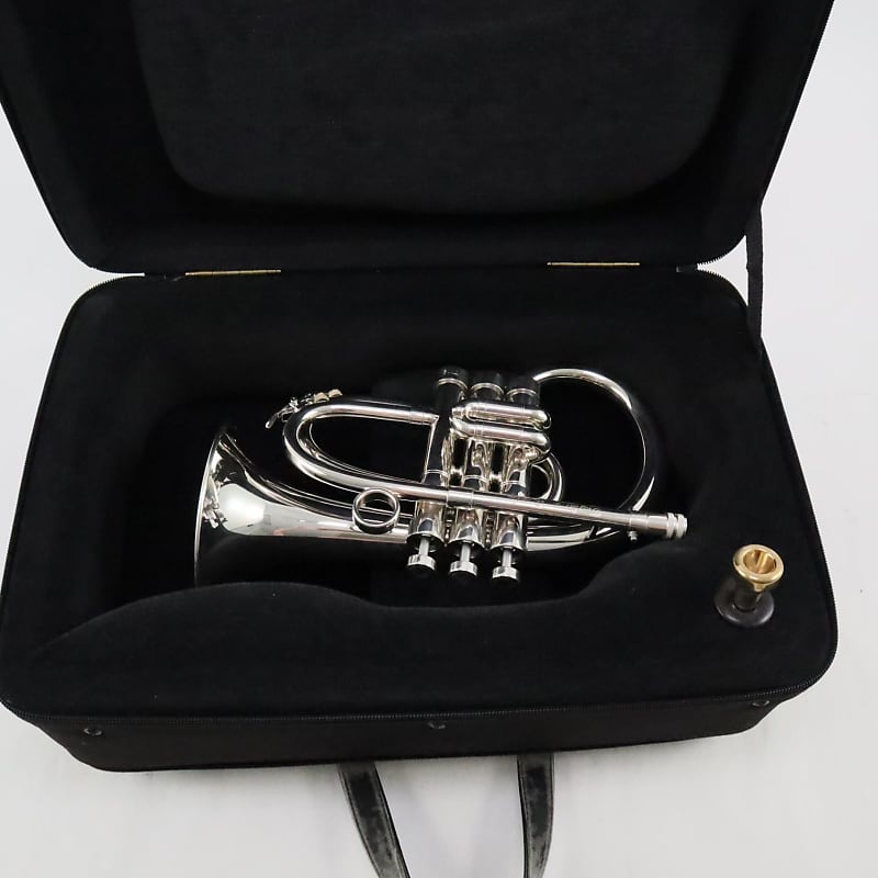 Taylor 'Trophy' Model Custom Cornet GORGEOUS | Reverb