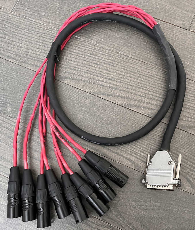 Avid DB25 to XLRM DigiSnake - 4 foot | Reverb