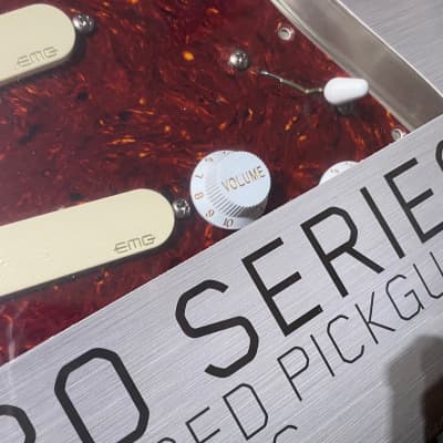 EMG DG20 DAVID GILMOUR IVORY SA SET ON TORTOISE PICKGUARD | Reverb
