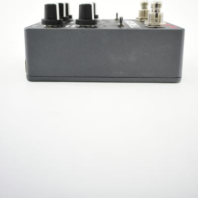 Red Panda Tensor Tape Delay 2022 | Reverb