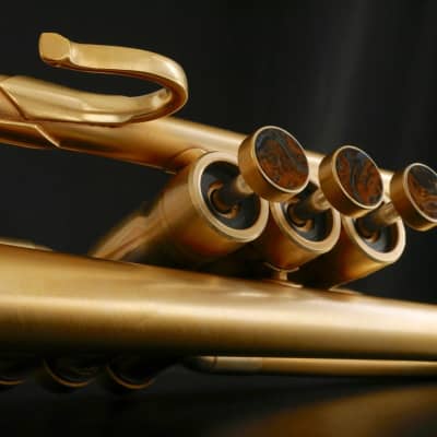Pre-Owned Monette Raja P3-STC Trumpet in Brushed Gold Plate! | Reverb