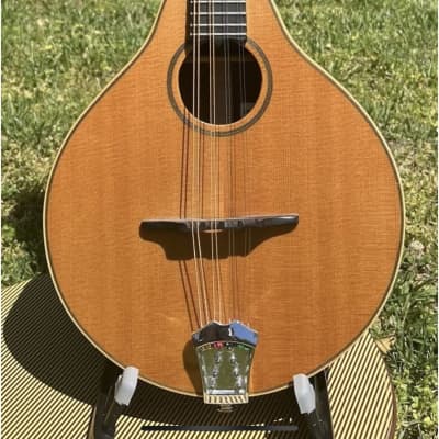 Beard Instruments Celtic mandolin #28 2010-2020 - Gloss | Reverb