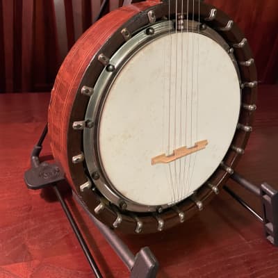 Douglas & Co. Museum Quality Zither 7-String Banjo Circa 1910 | Reverb