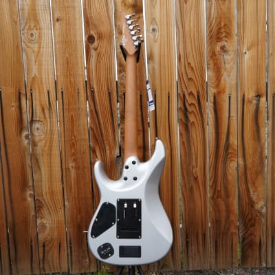 Ibanez Signature TOD10 - Silver Tim Henson 6-String Electric | Reverb