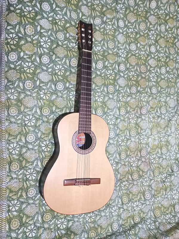 Terry Simon Spanish Acoustic Guitar 2013 | Reverb