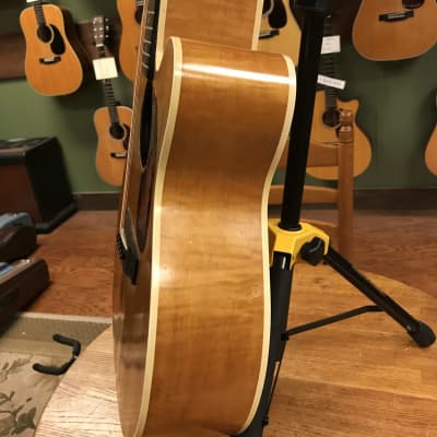 1981 Petillo Jumbo Cutaway Maple Phillip Petillo | Reverb