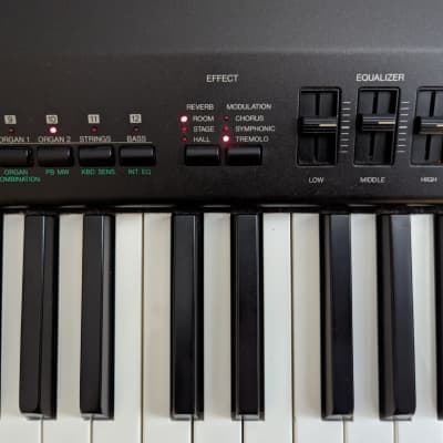 Yamaha P-200 Electric Digital Piano 88-Key Keyboard P200 | Reverb