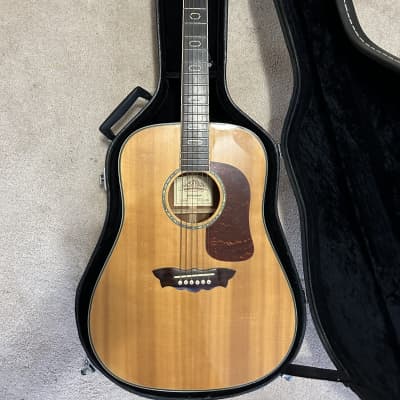 Washburn DM2000S Millennium Series | Reverb