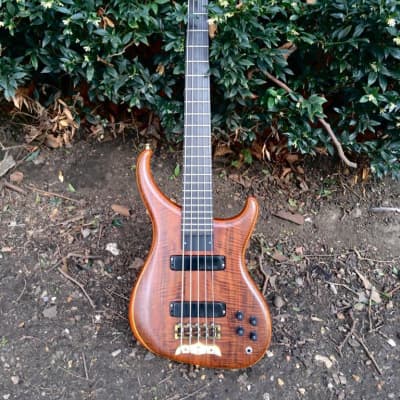 Alembic Orion V 5 String Bass 2000s - Natural | Reverb
